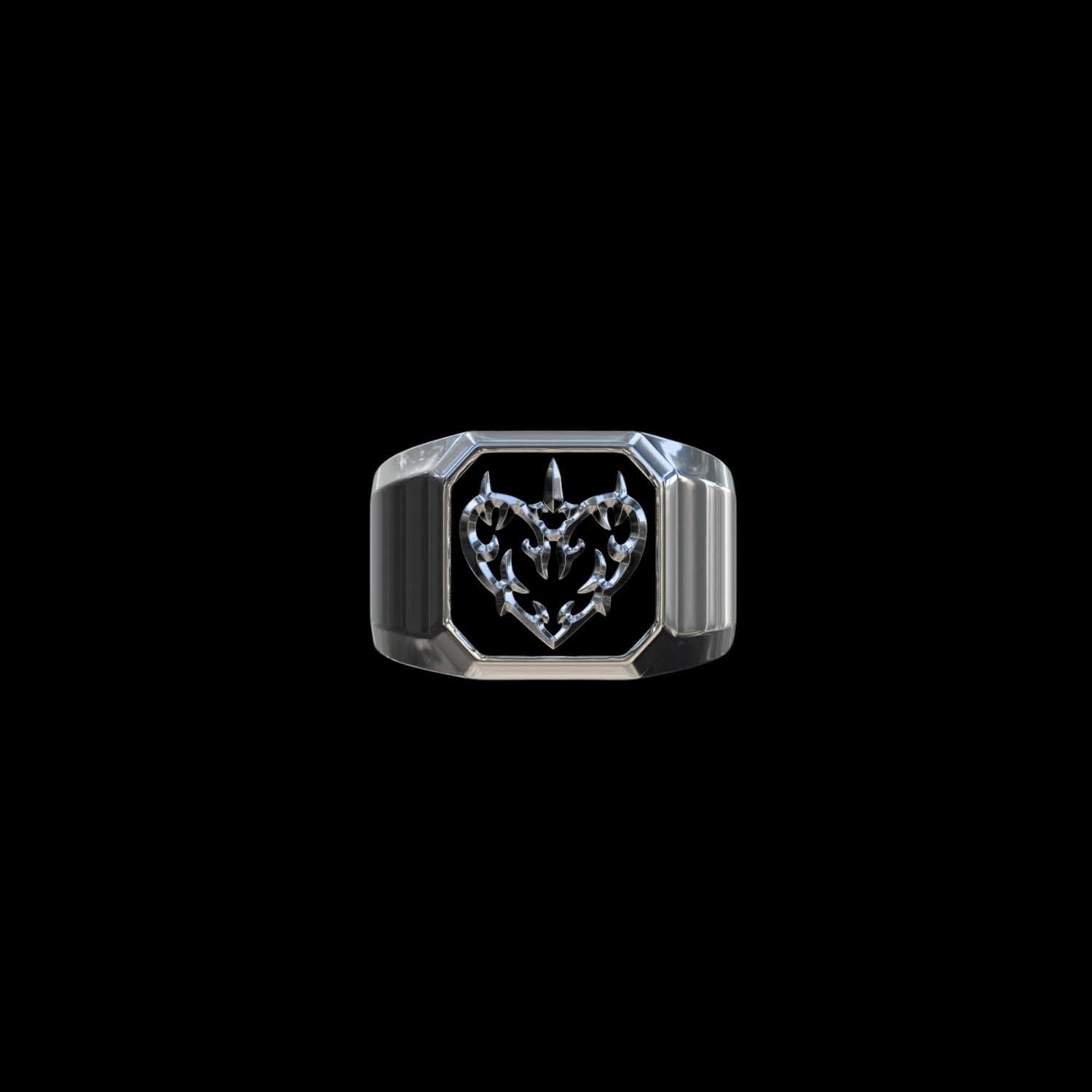 IL Signet Ring Black – fainz® Shop
